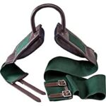 Prevent Your Horse From Being Cast - Pro Equine Grooms