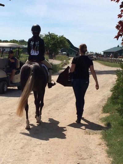 Meet Amanda - Groom and Clipper - Pro Equine Grooms