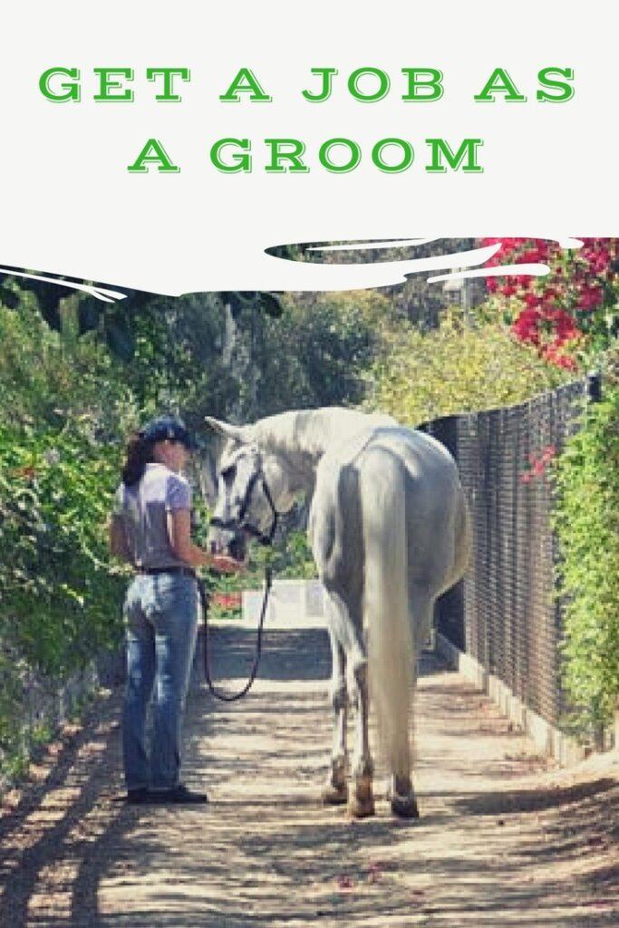How to Get a Job as a Groom - Pro Equine Grooms