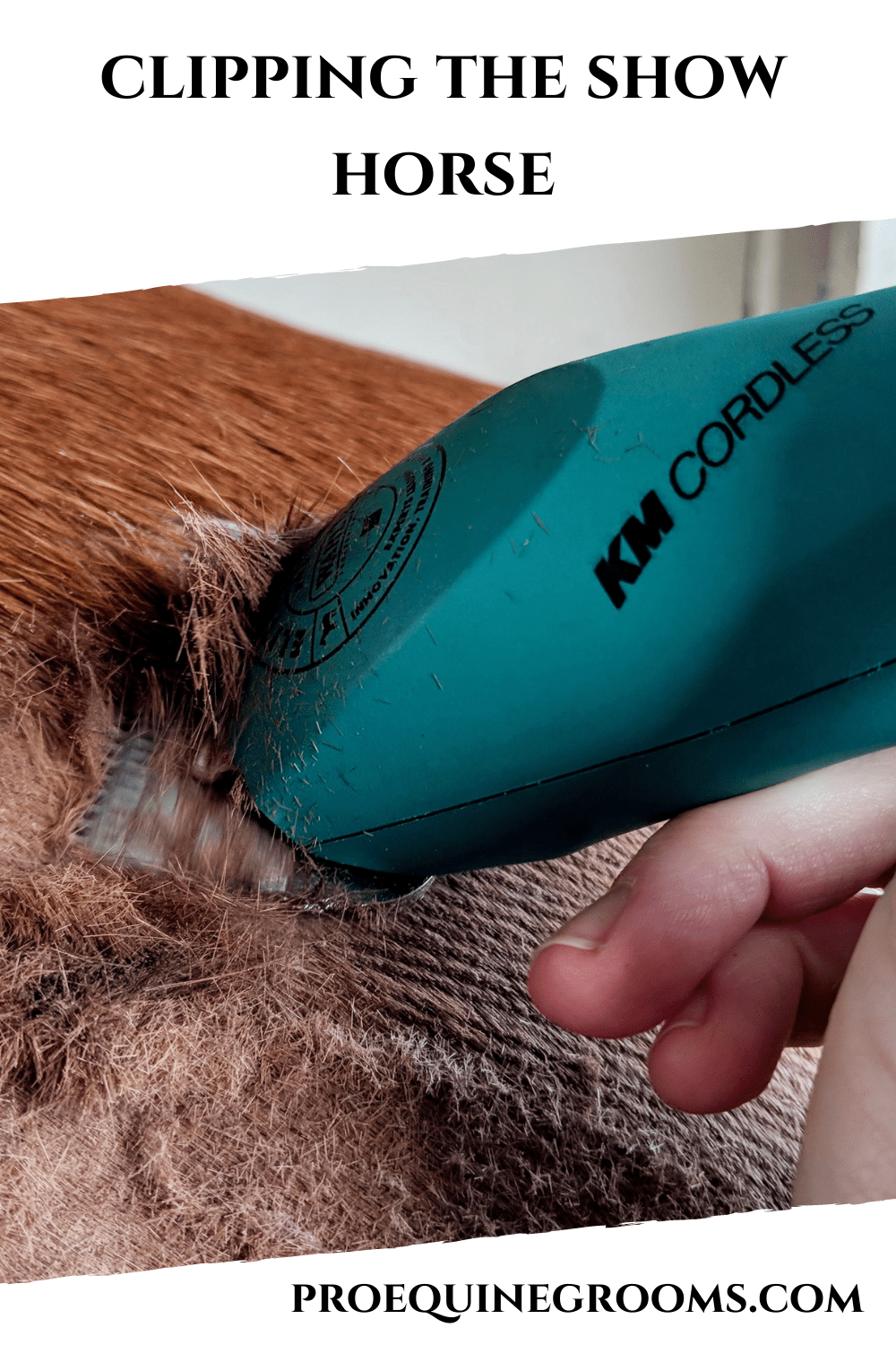 Clipping the Show Horse - Pro Equine Grooms