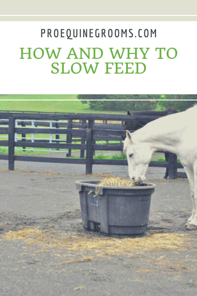 Best Practices for Slow Feeding Horses - Pro Equine Grooms