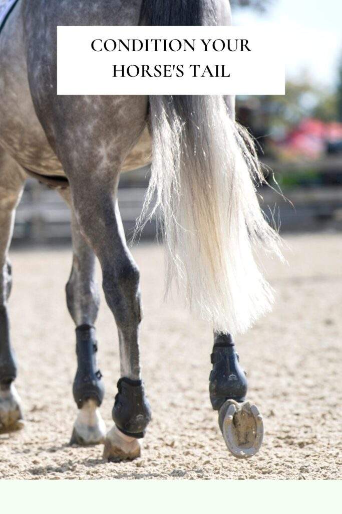 Condition Your Horse's Tail - Pro Equine Grooms