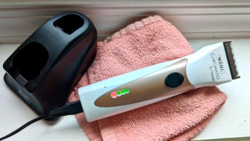 10 Minute Touch-Up With Trimmers - Pro Equine Grooms