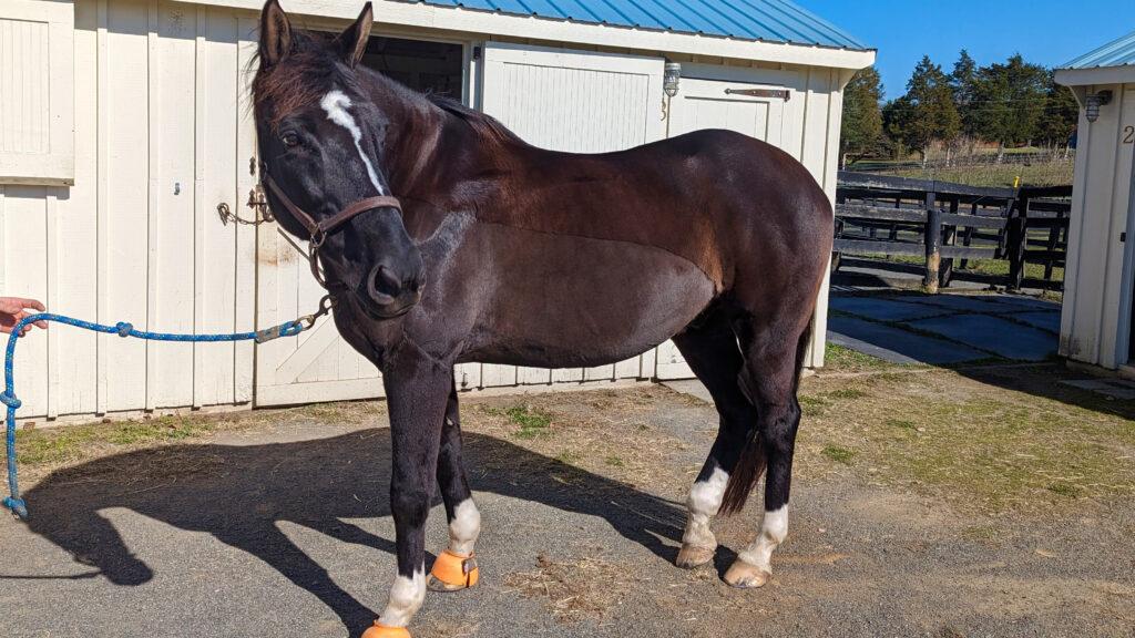 Trace Clipping - Patterns and TIps