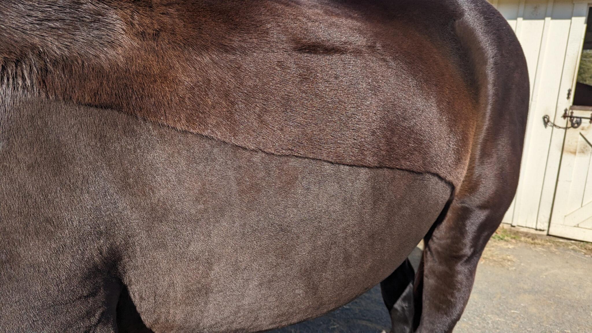 Trace Clipping - Patterns and TIps