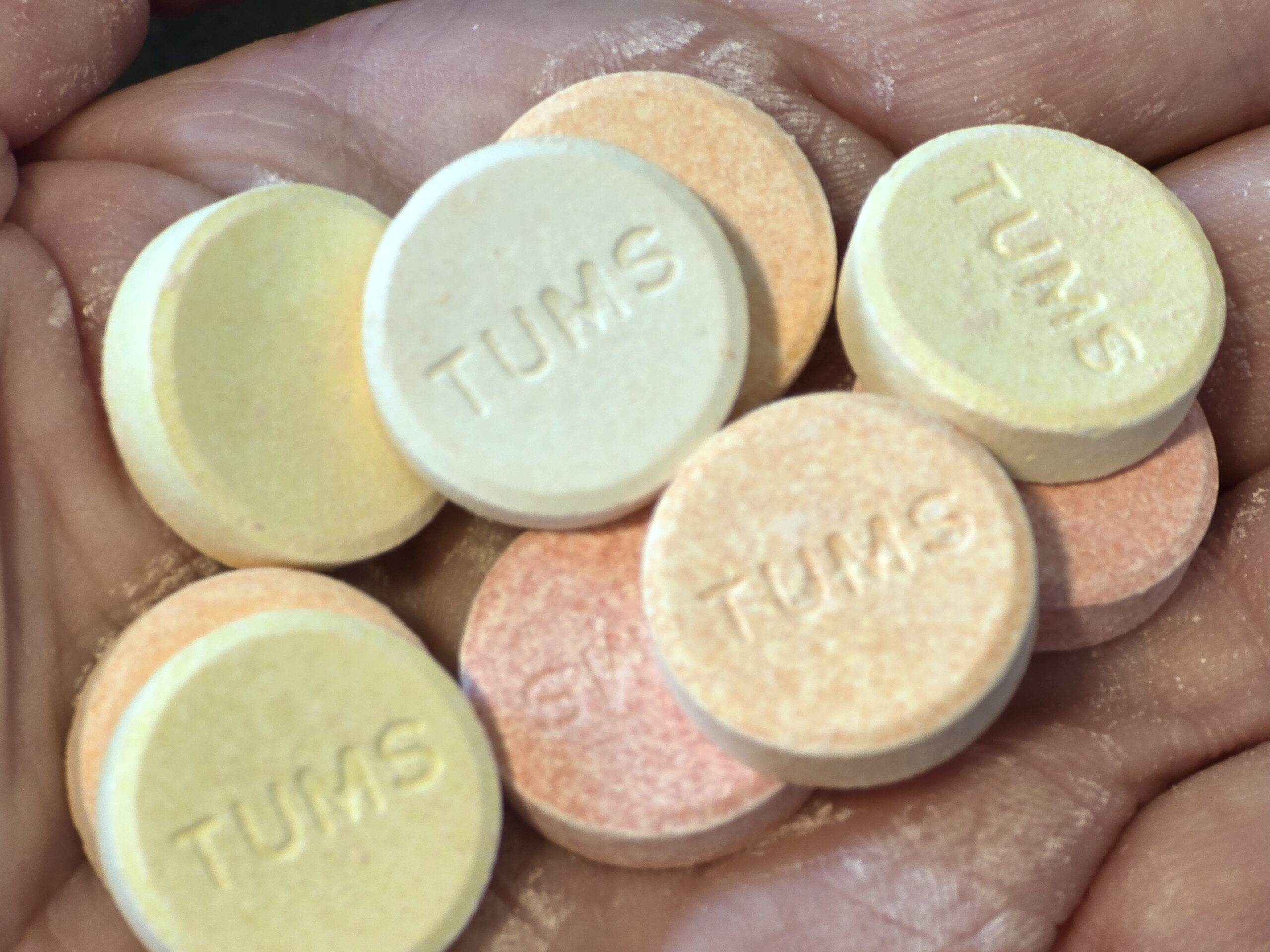 Antacids for Horses - Are They Worth It?
